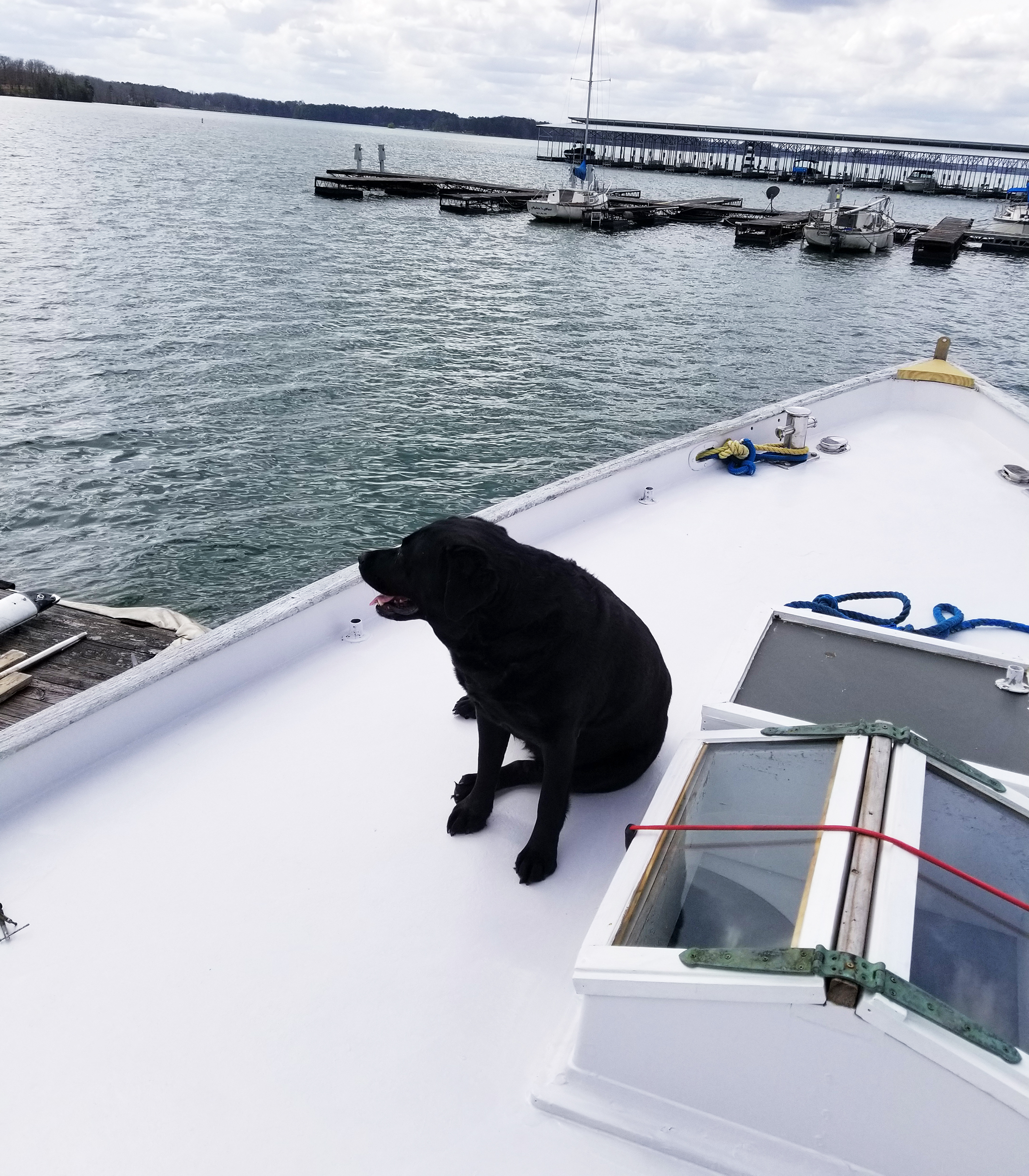 A day on the boat with Onyx – Elephants In Montana